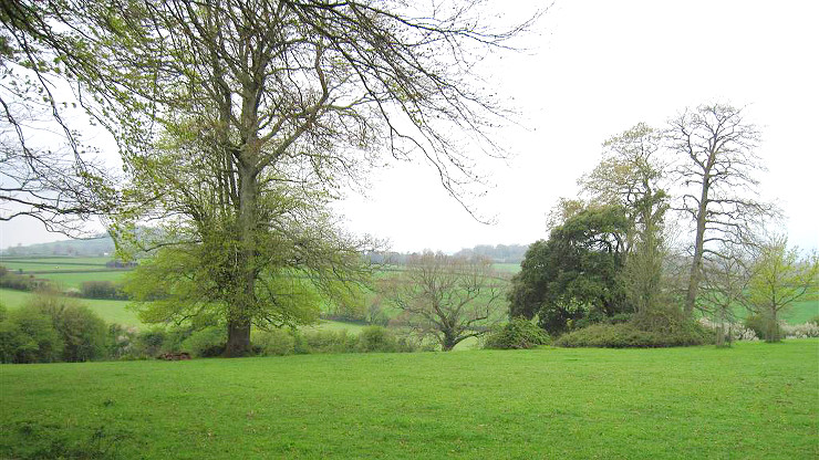 Rectory Field - Woodland Trust