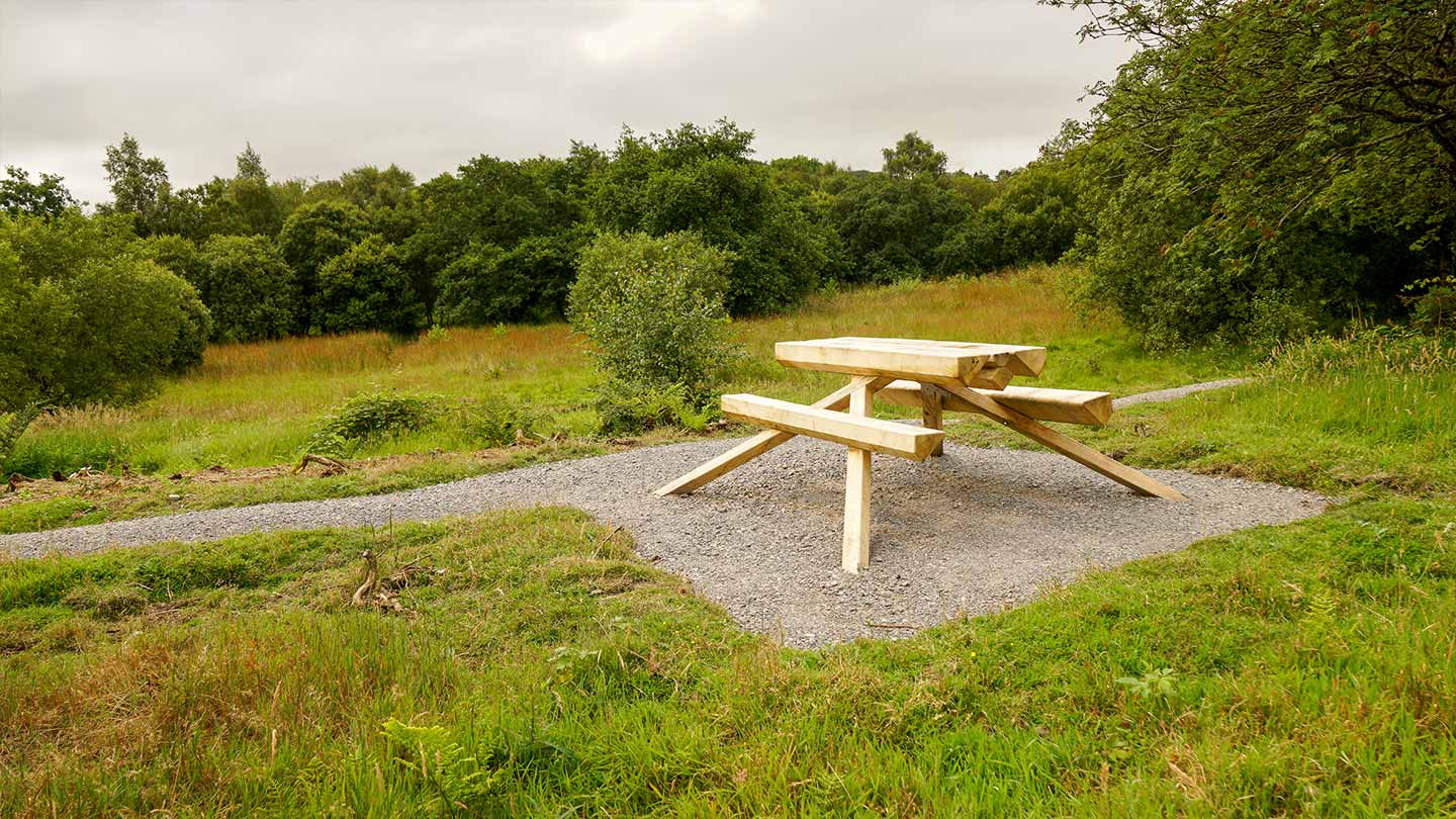 Den Wood - Woodland Trust