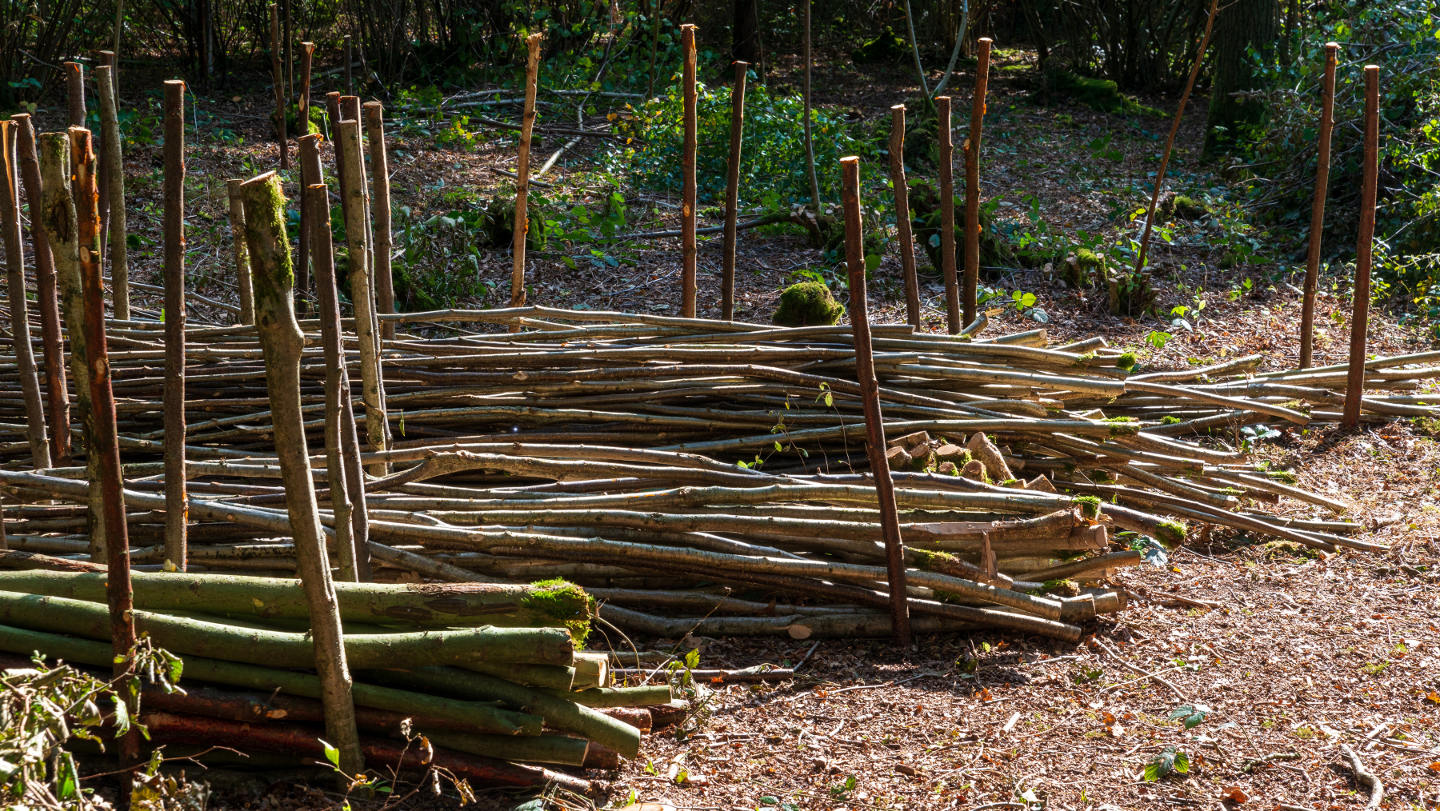 Pepper Wood - Visiting Woods - Woodland Trust