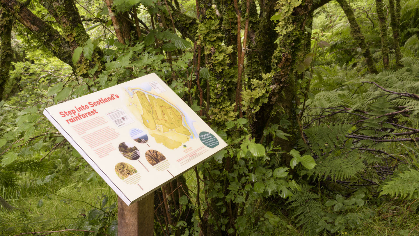 Crinan Wood - Visiting Woods - Woodland Trust