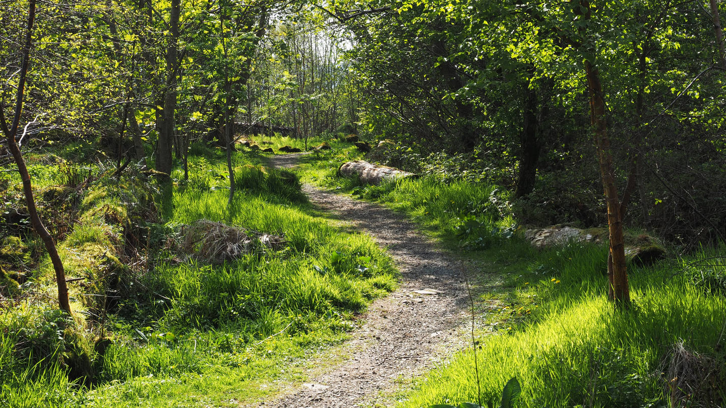 Uig Wood - Visiting Woods - Woodland Trust