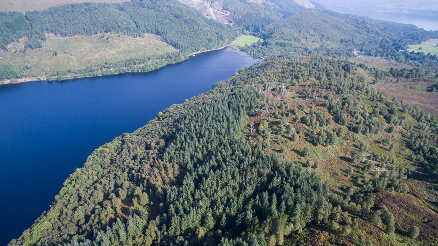 Loch Arkaig Pine Forest - Visiting Woods - Woodland Trust