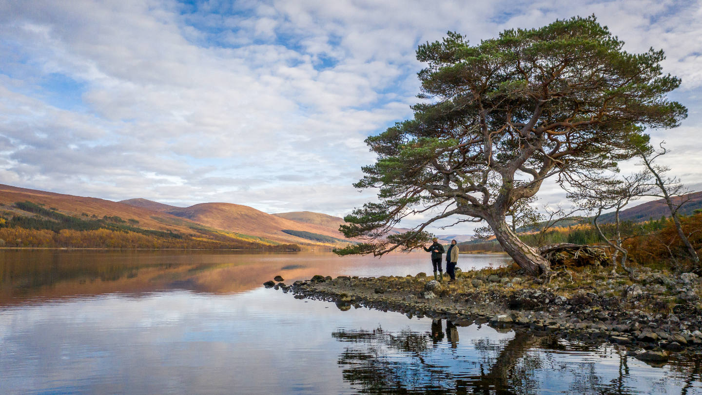 Loch Arkaig Pine Forest - Visiting Woods - Woodland Trust