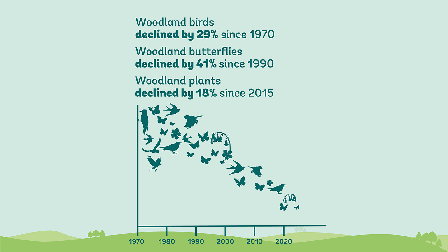 State of the UK's Woods and Trees - Woodland Trust