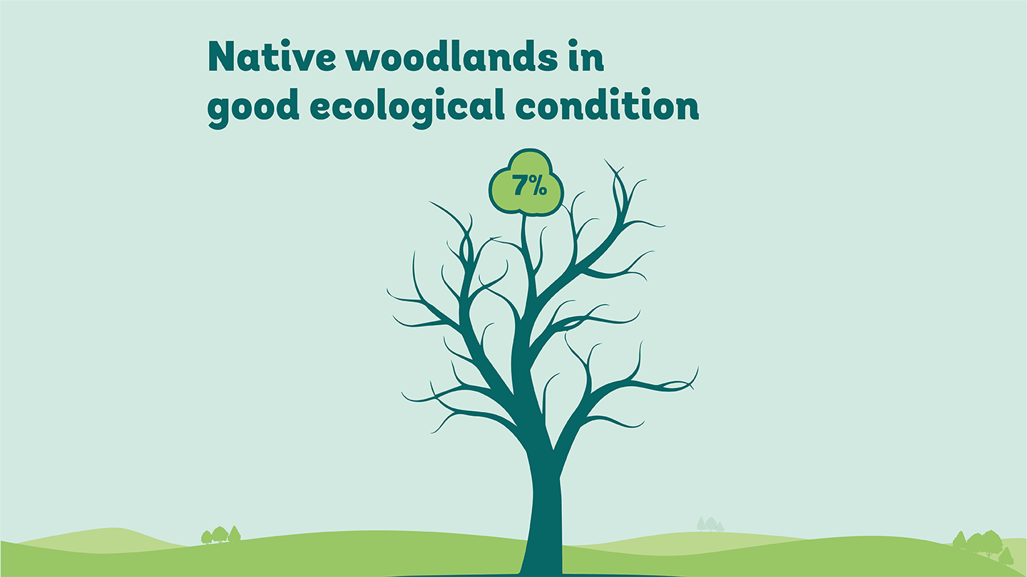 State of the UK's Woods and Trees - Woodland Trust
