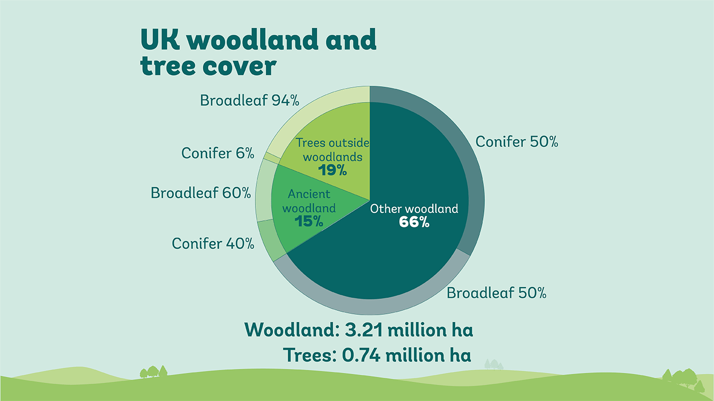State of the UK's Woods and Trees - Woodland Trust