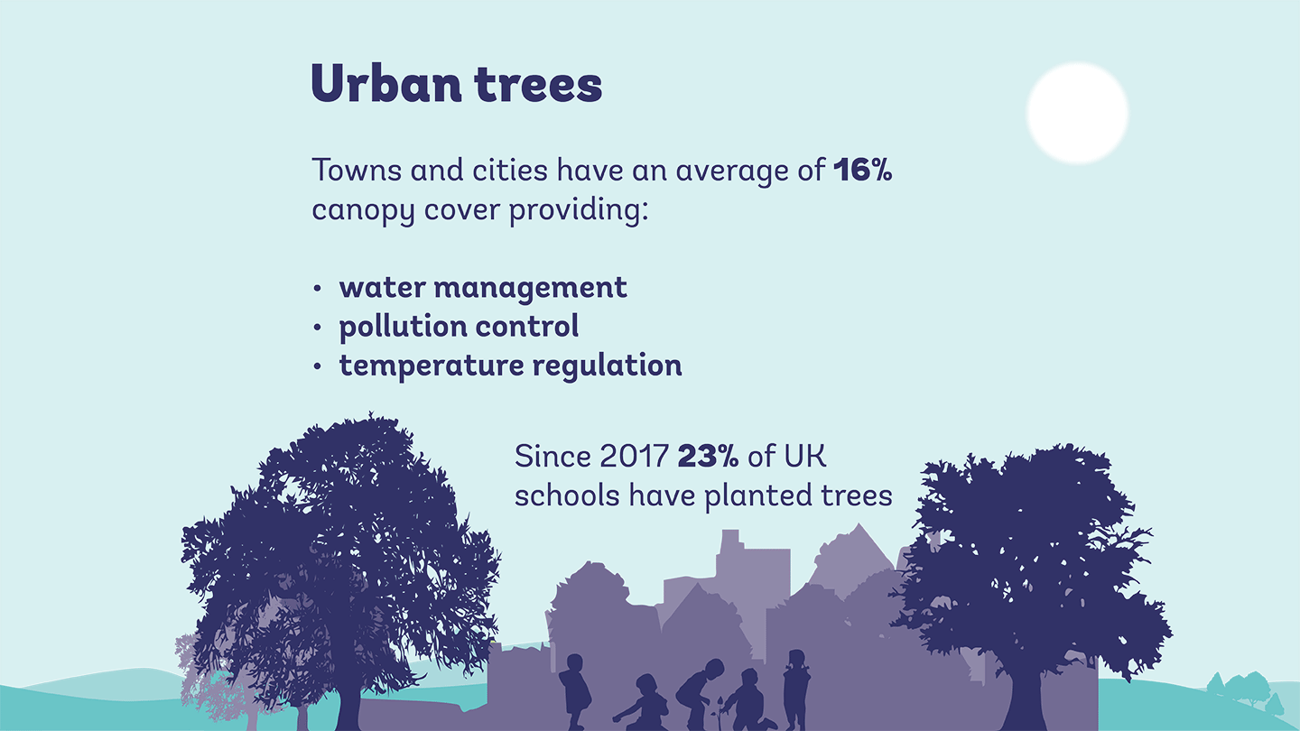 State of the UK's Woods and Trees - Woodland Trust