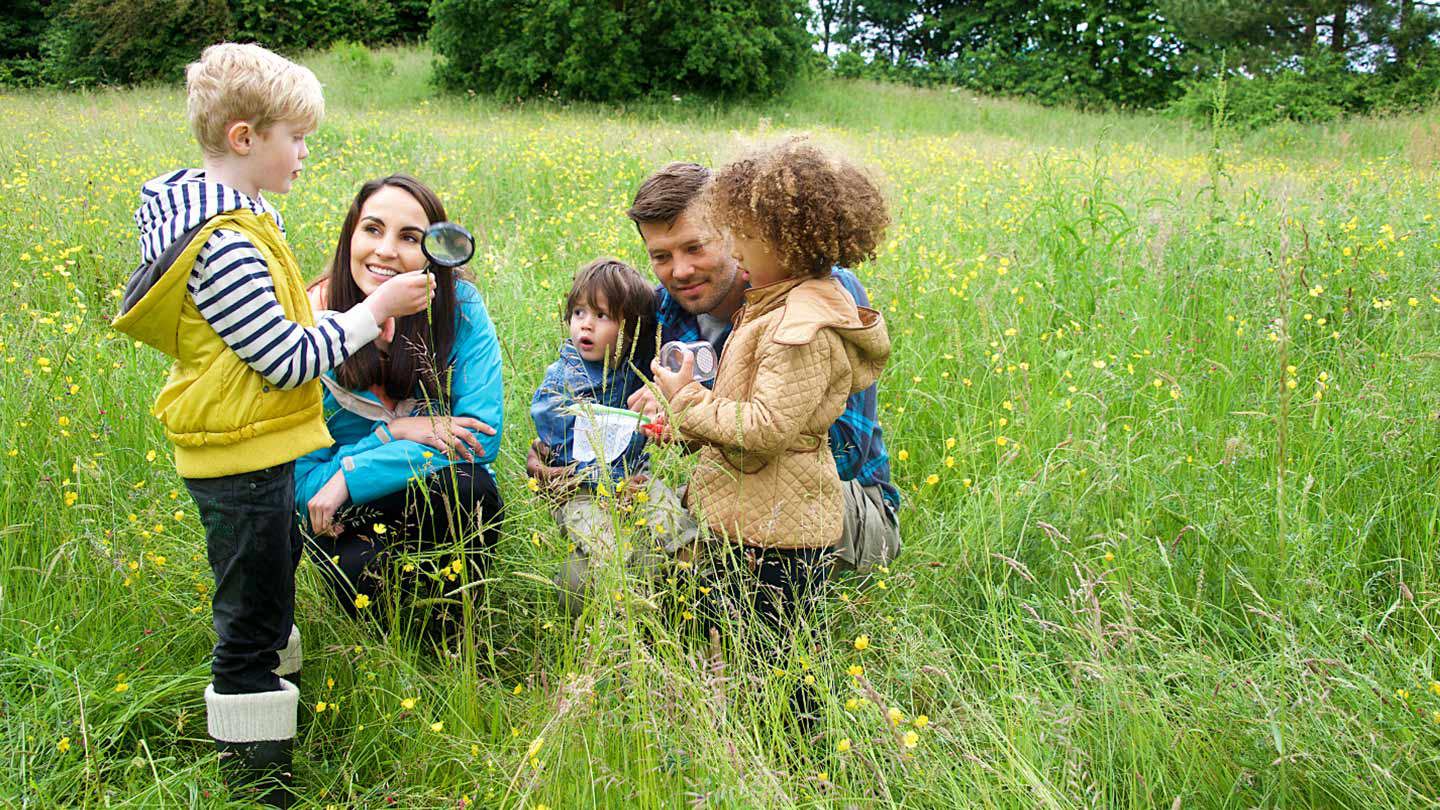 Nature Trail Ideas: How to Make a Nature Trail - Woodland Trust
