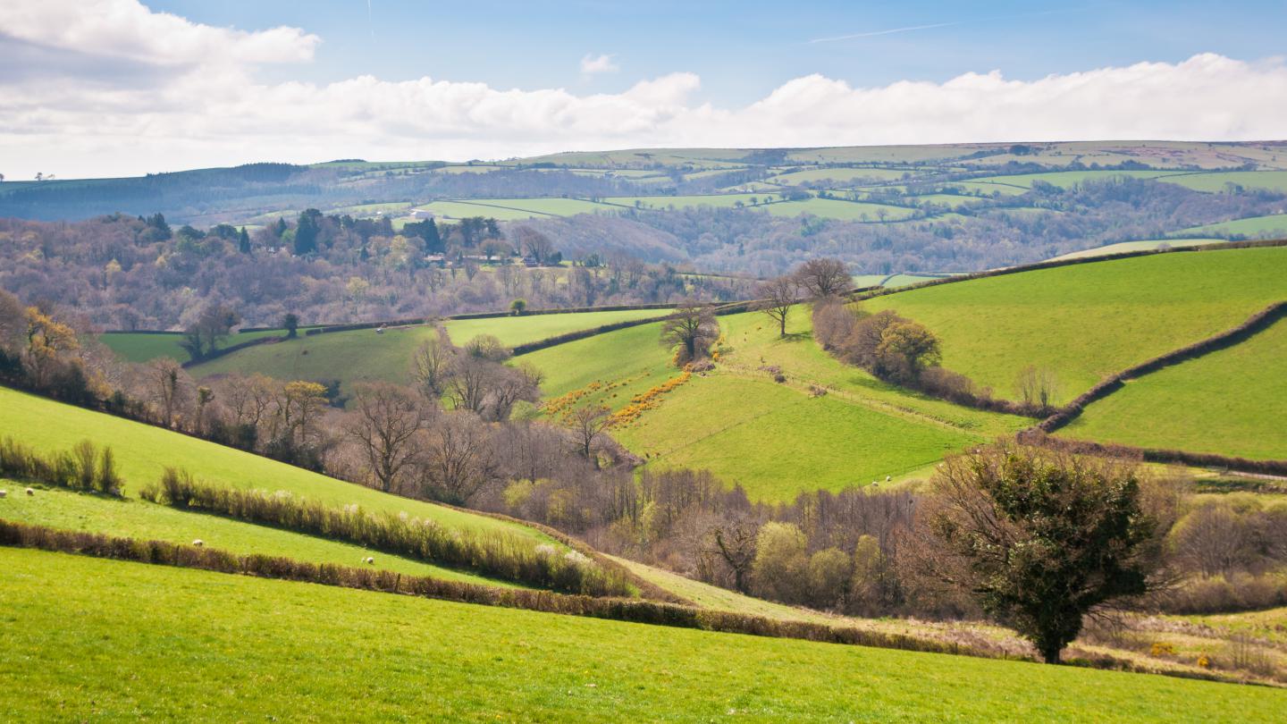 Restoring Devon's Wooded Landscape - Woodland Trust