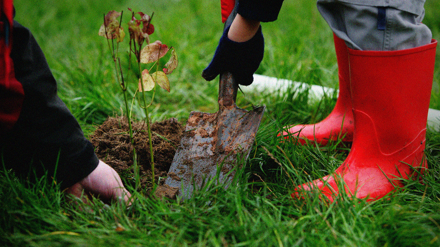 We Plant Woods and Trees - Woodland Trust - Woodland Trust