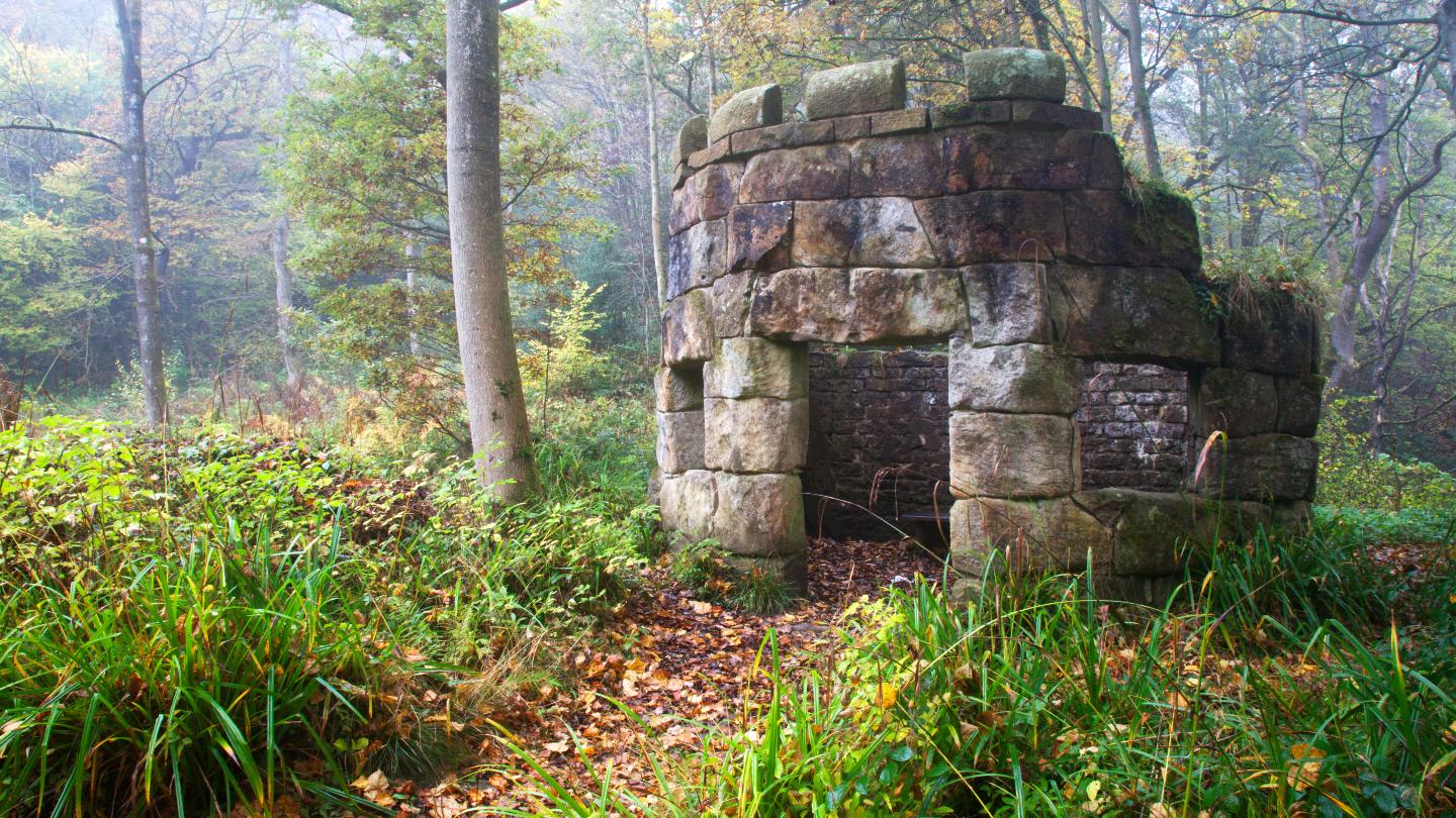 Hackfall - Visiting Woods - Woodland Trust