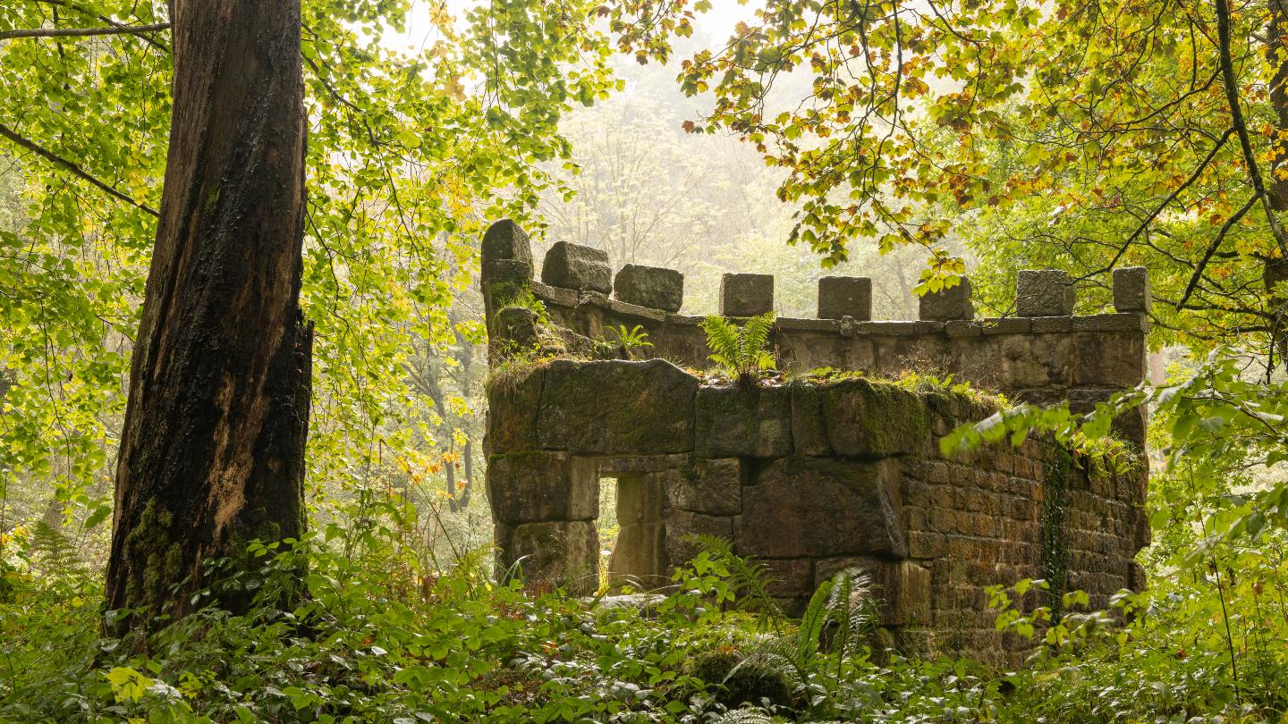 Hackfall - Visiting Woods - Woodland Trust