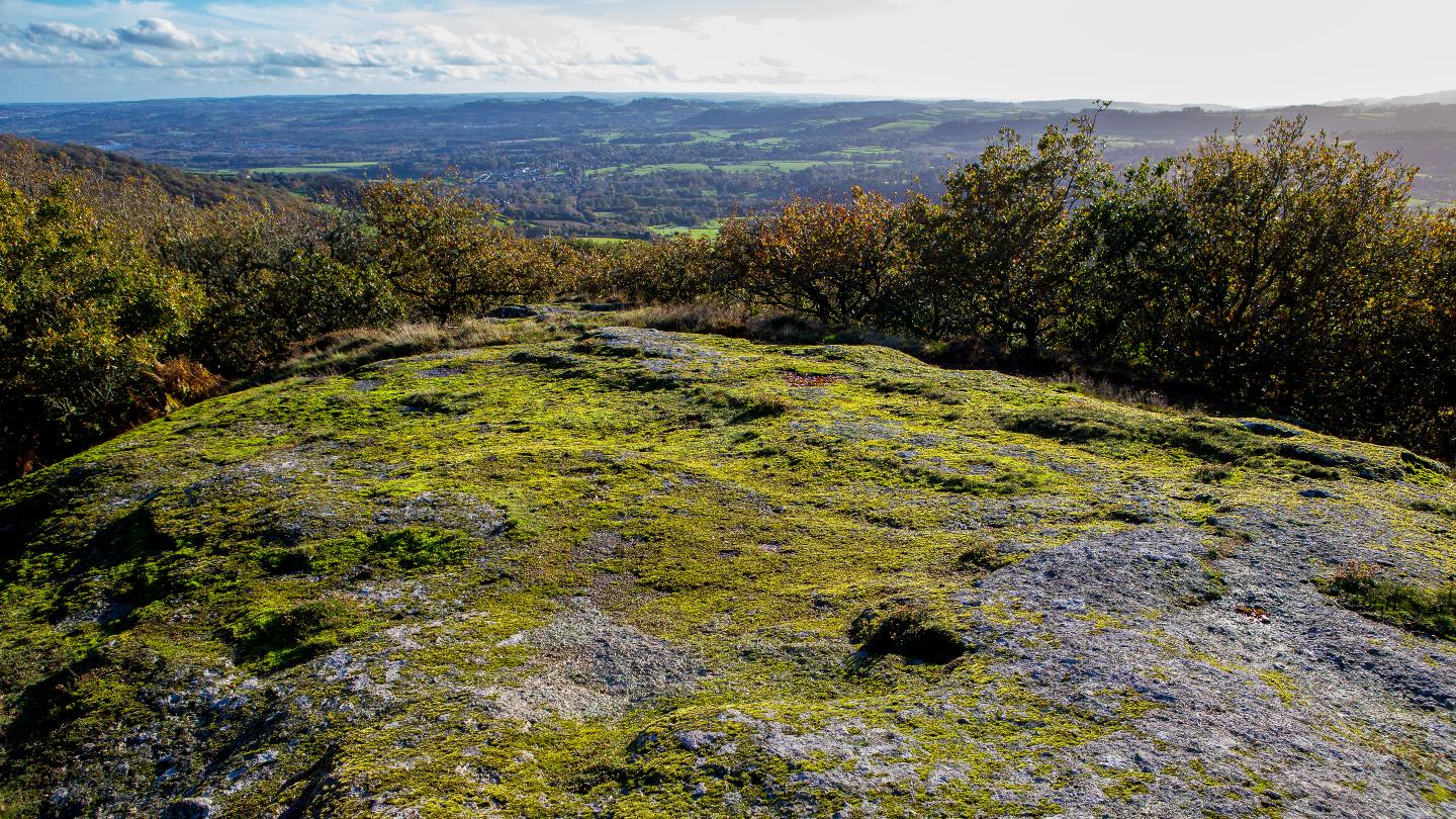 Shaptor Woods - Visiting Woods - Woodland Trust