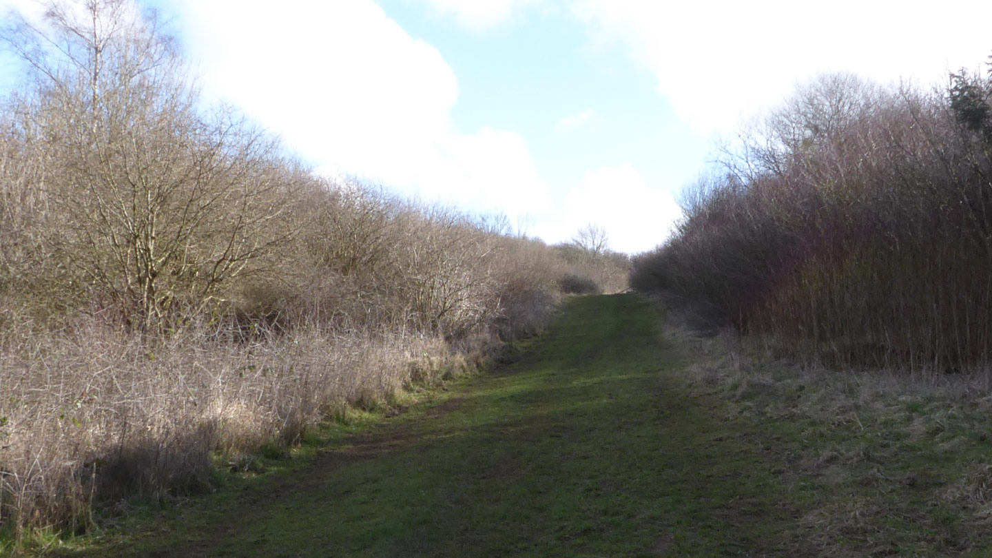 Barber Wood - Visiting Woods - Woodland Trust