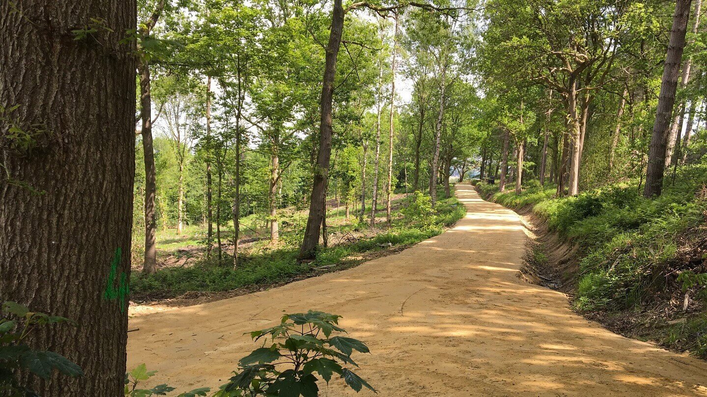 The Green Recovery Challenge Fund - Woodland Trust