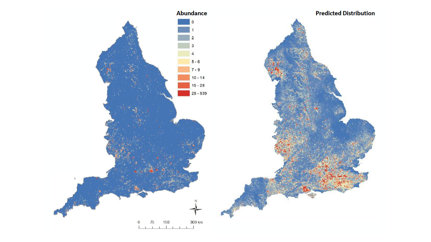 Uncovering Ancient Trees - Woodland Trust