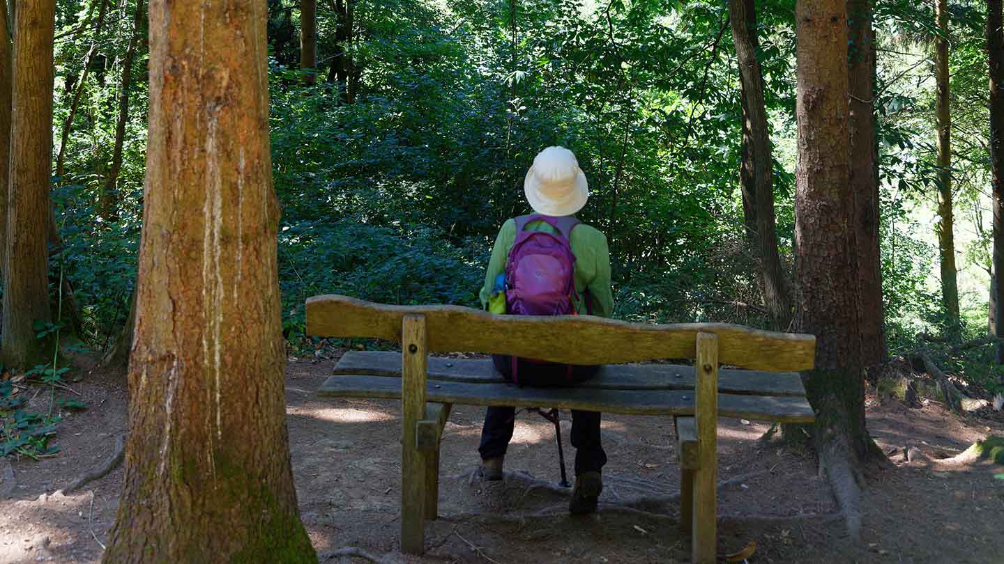 Greyfield Wood - Visiting Woods - Woodland Trust