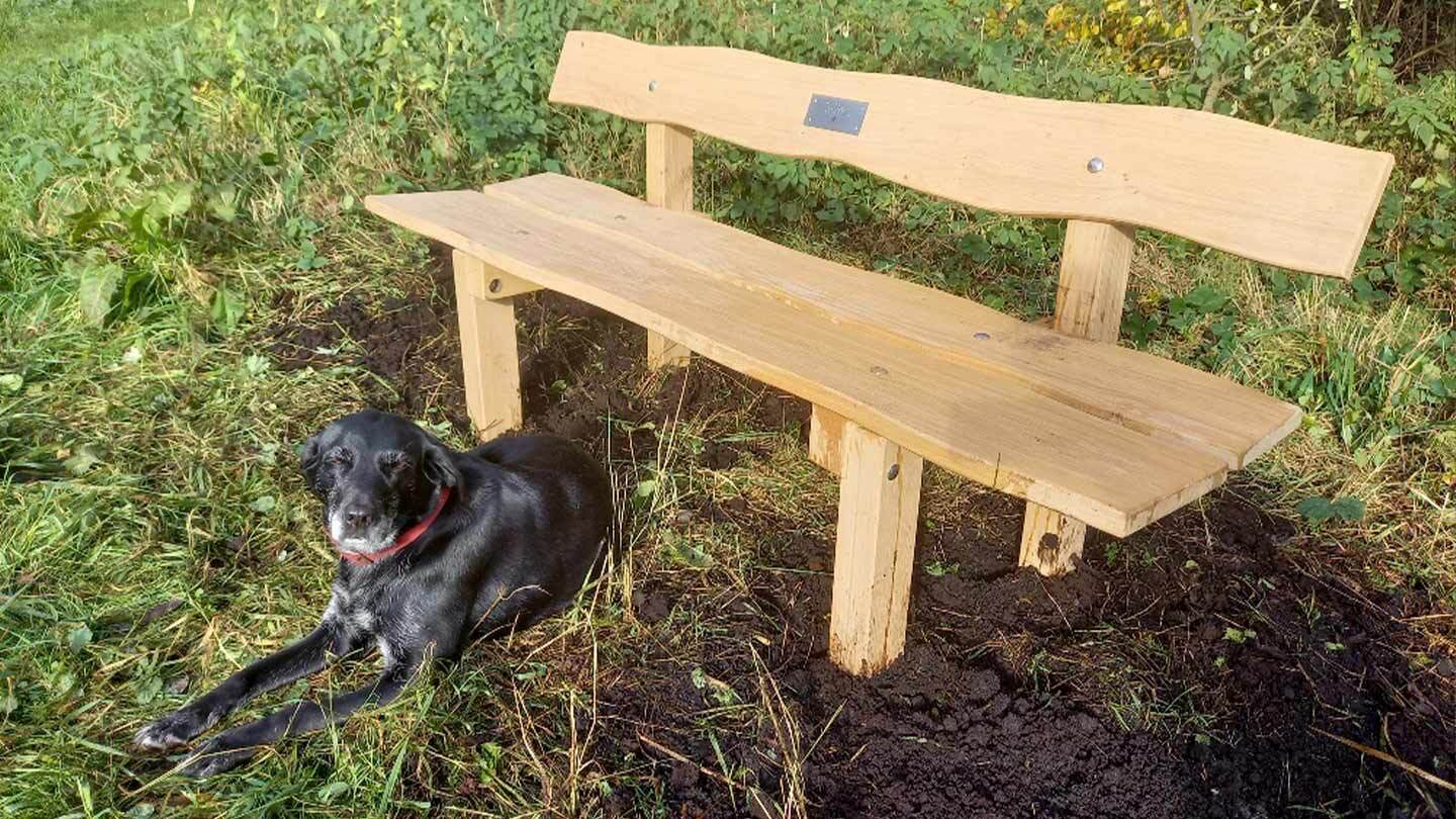 Pets at Home - Woodland Trust