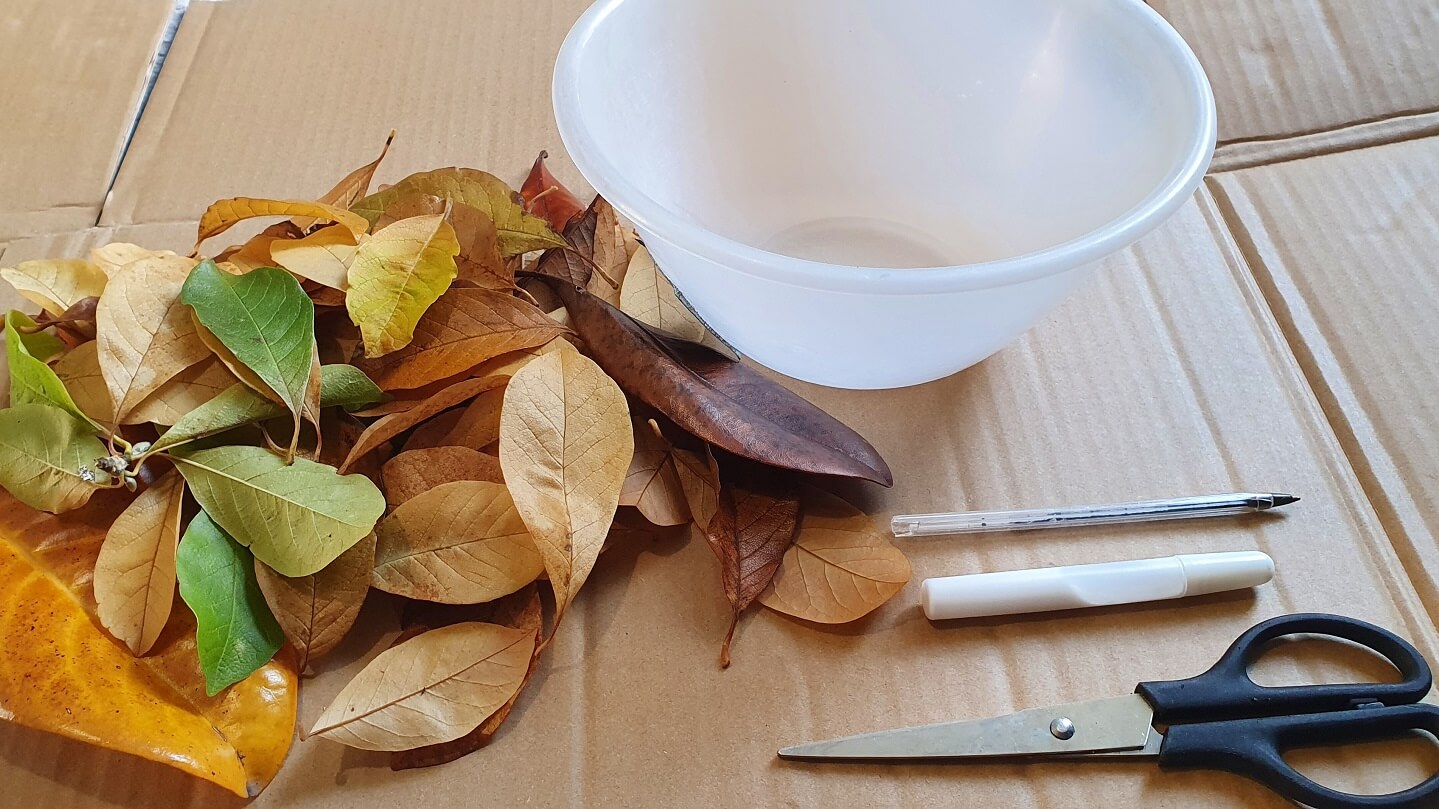 10 Ways to Use Fallen Autumn Leaves - Woodland Trust