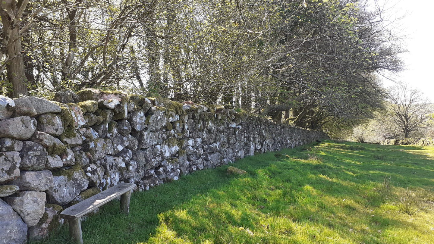 Hall Farm Estate - Visiting Woods - Woodland Trust