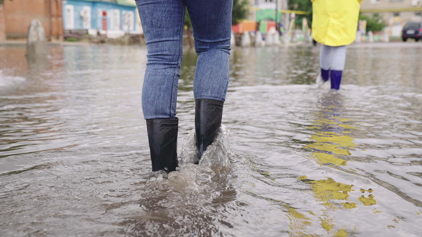 Plant More Trees to Protect Us All: Donate £5 - Woodland Trust