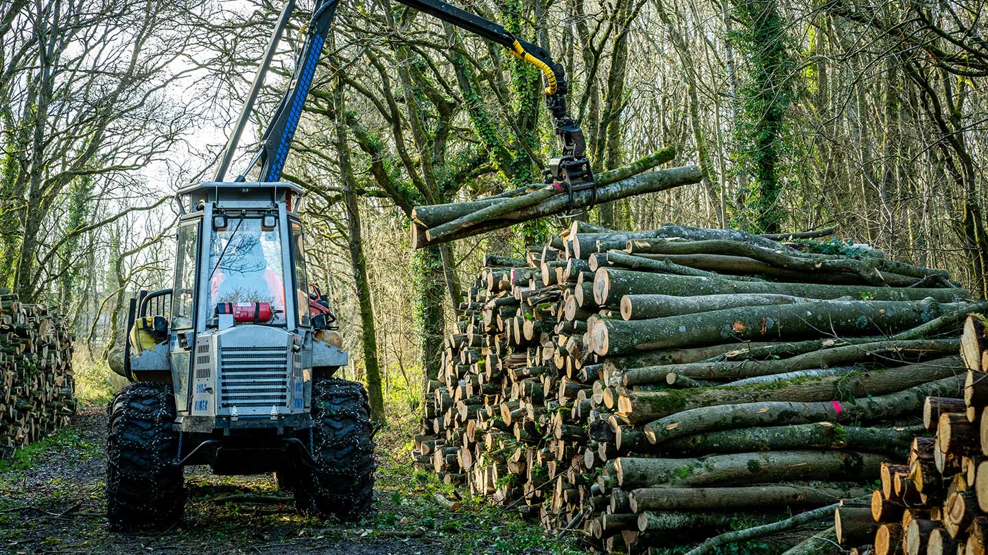 FSC And UKWAS Certification - Woodland Trust - Woodland Trust