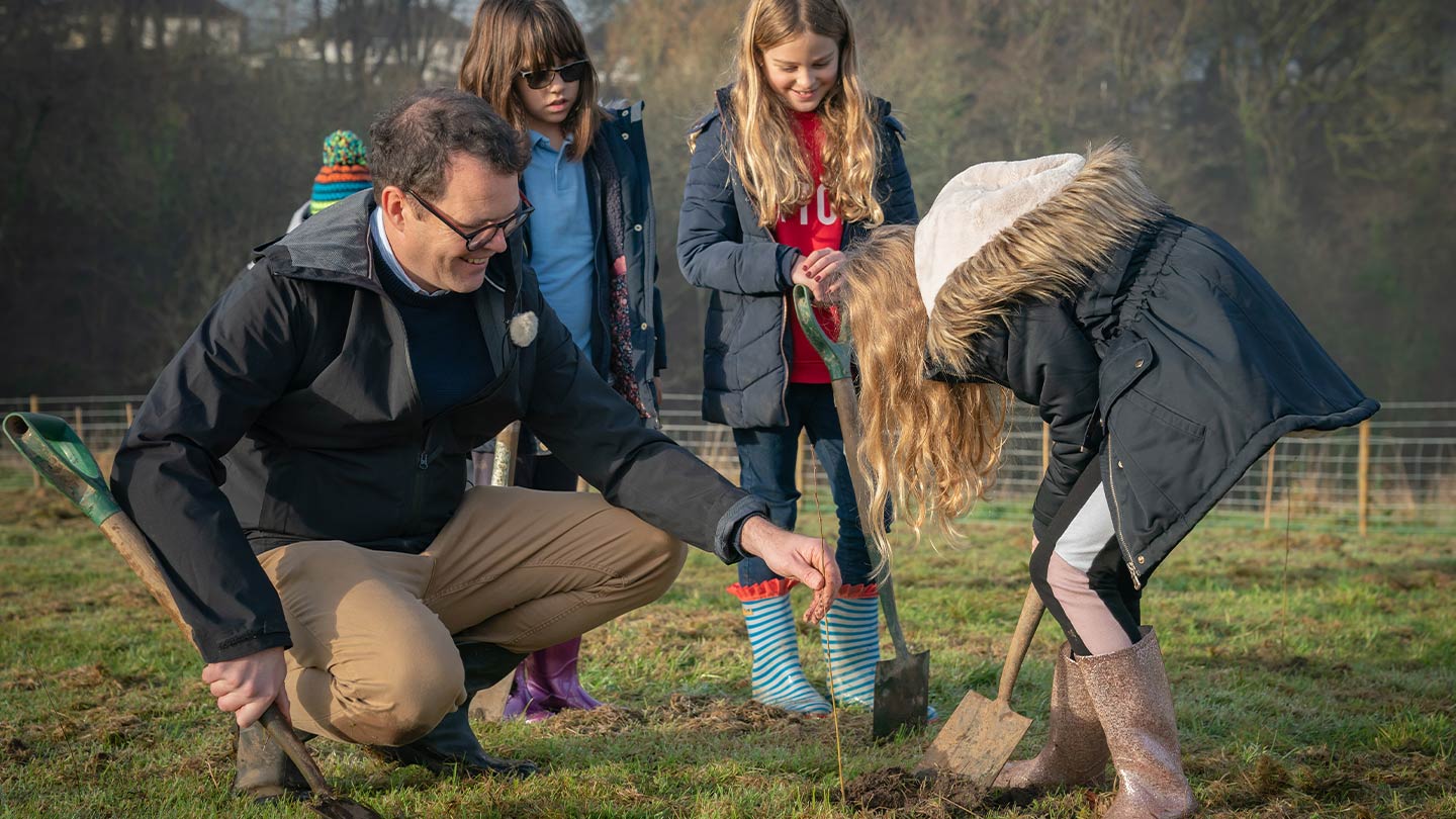 Wales Tree Giveaway: My Tree Our Forest - Woodland Trust