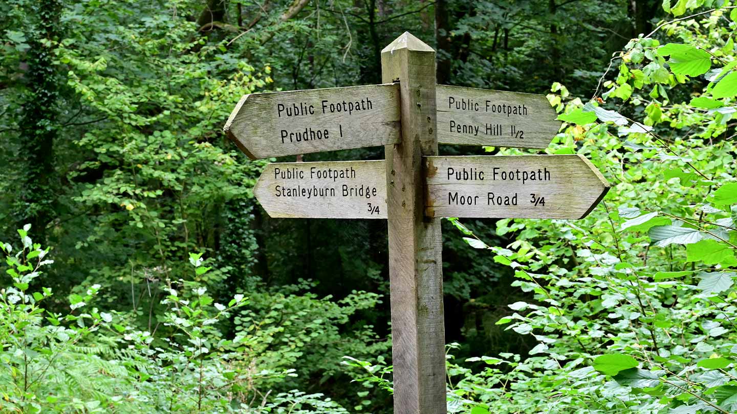 South Park - Visiting Woods - Woodland Trust