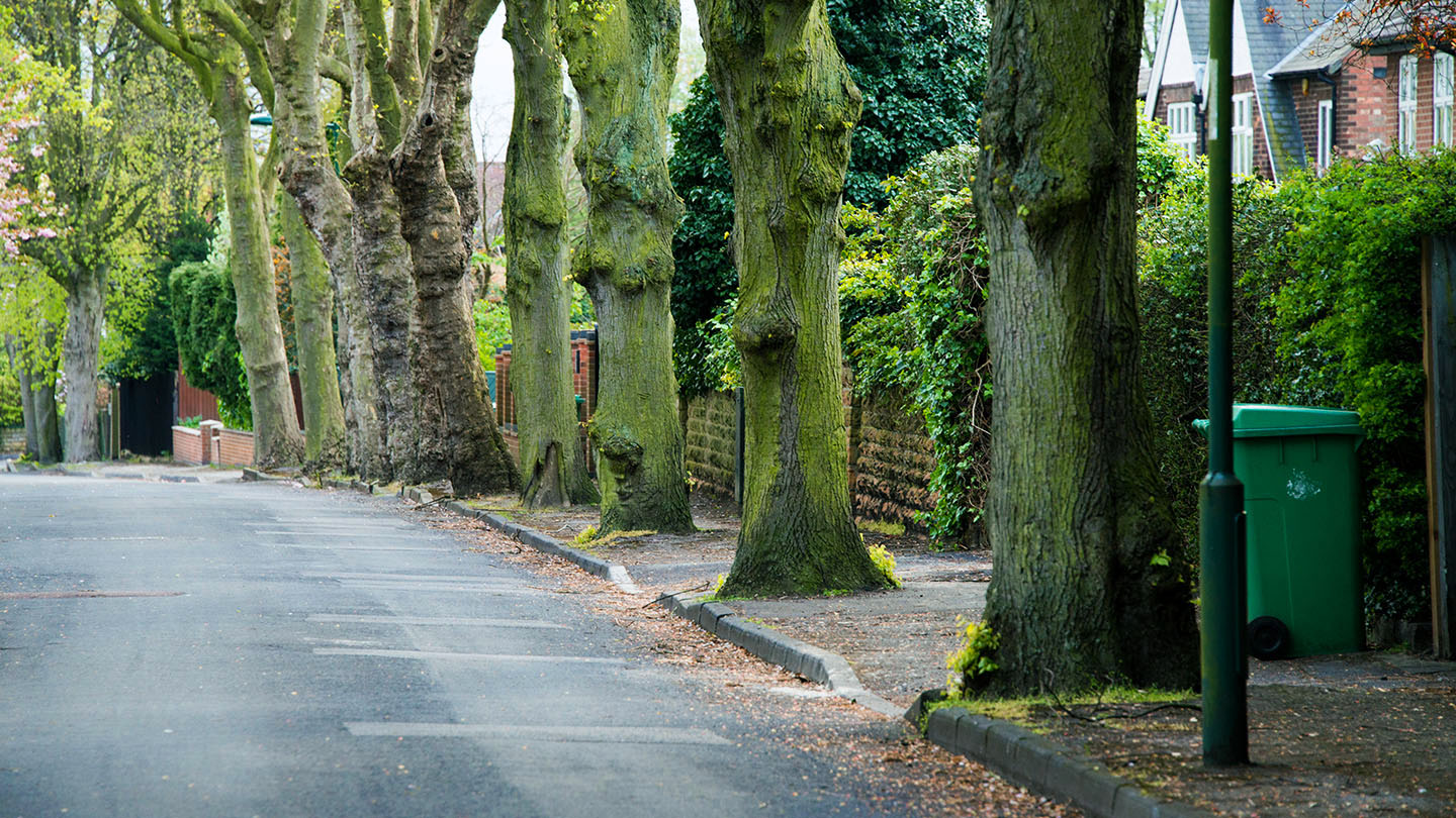 Urban Trees and Woodland - British Habitats - Woodland Trust