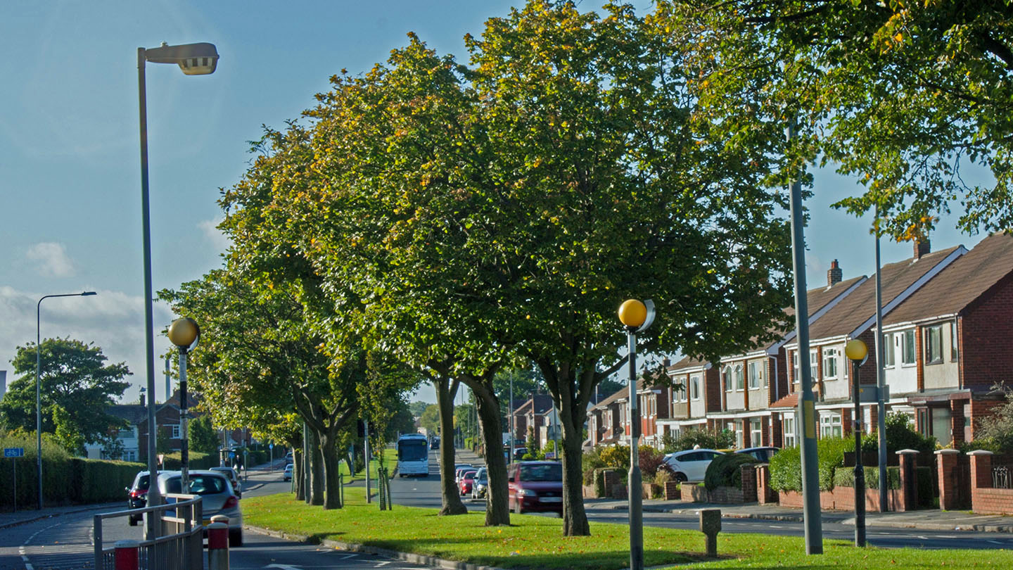 Urban Trees and Woodland - British Habitats - Woodland Trust