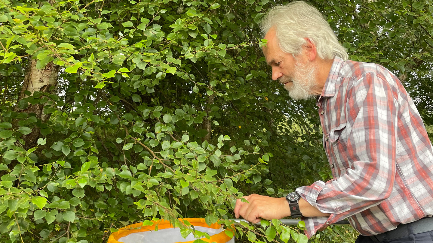 Loch Arkaig Invertebrate Survey - Woodland Trust