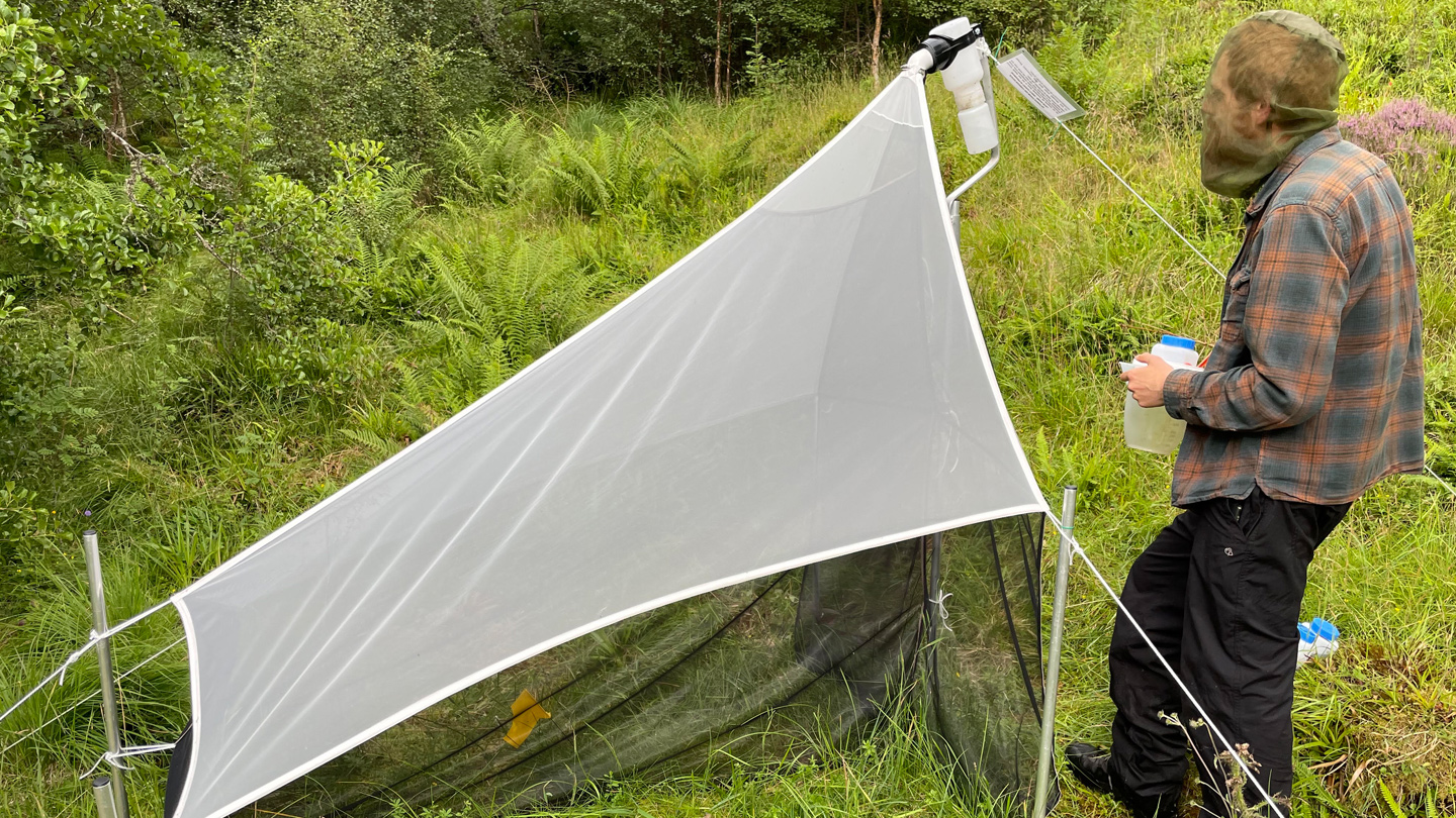 Loch Arkaig Invertebrate Survey - Woodland Trust