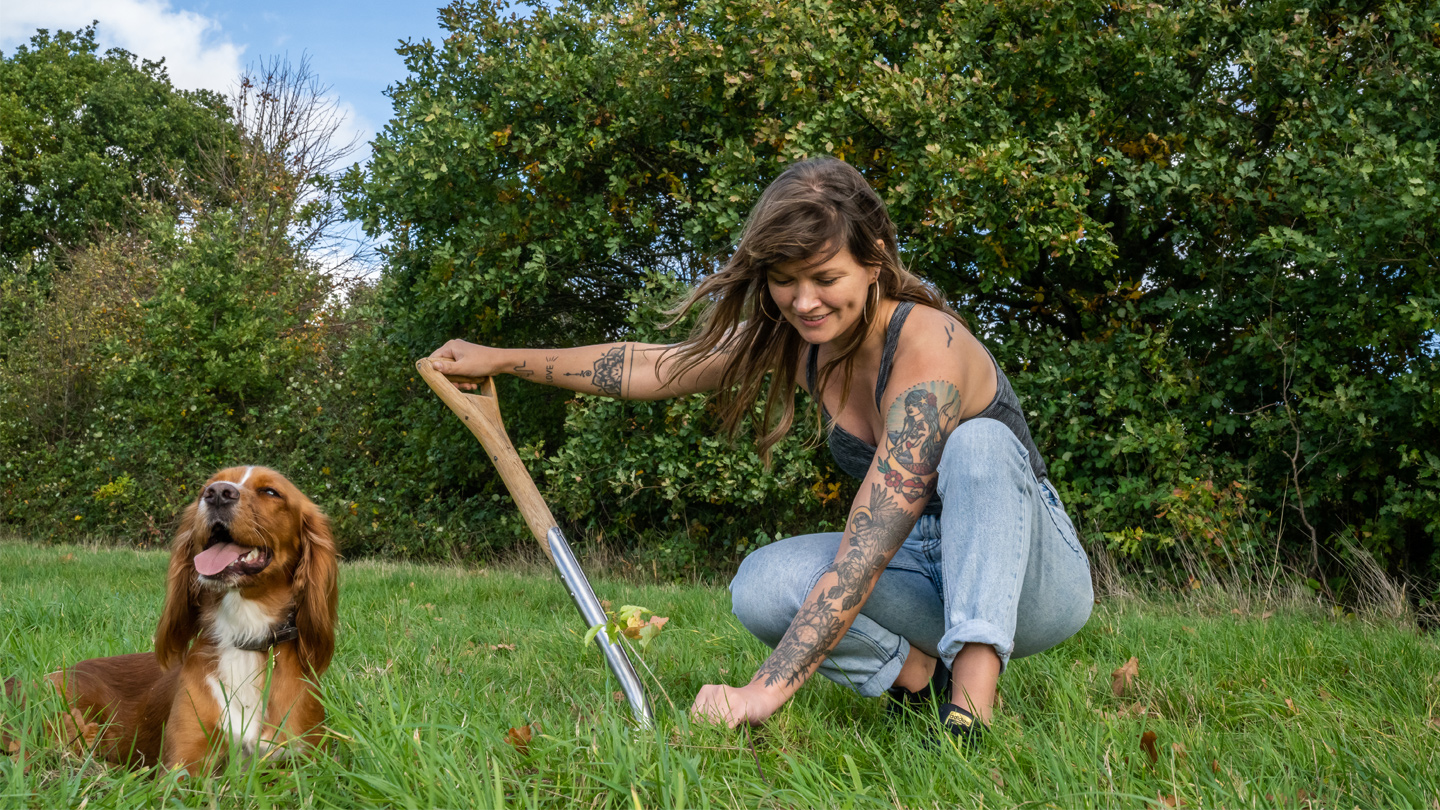 How Trees Fight Climate Change - Woodland Trust