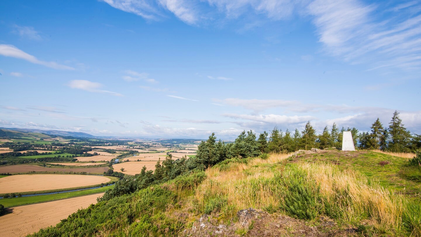 Historical ruins and relics in 10 UK woods - Woodland Trust