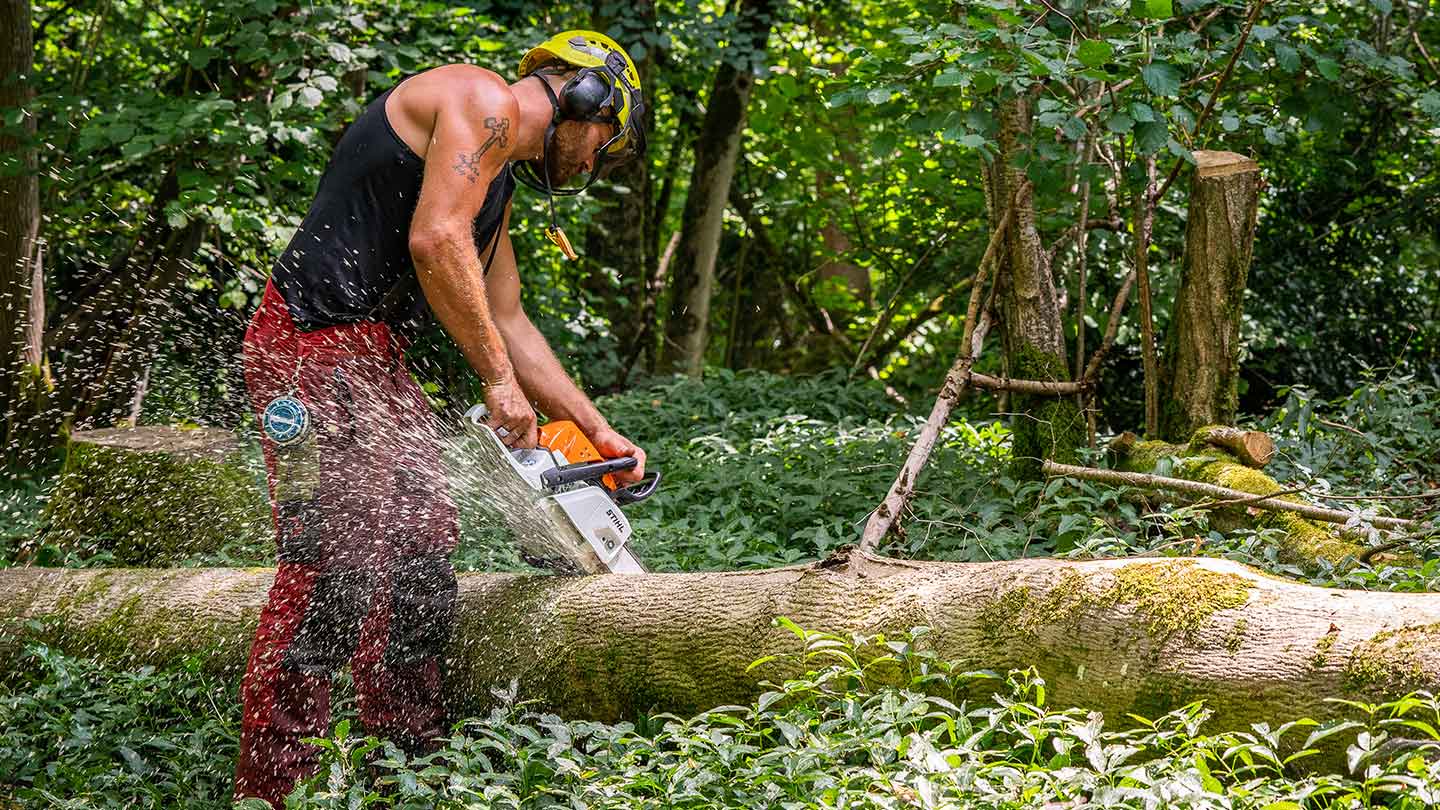 The Bunce Survey - Woodland Trust