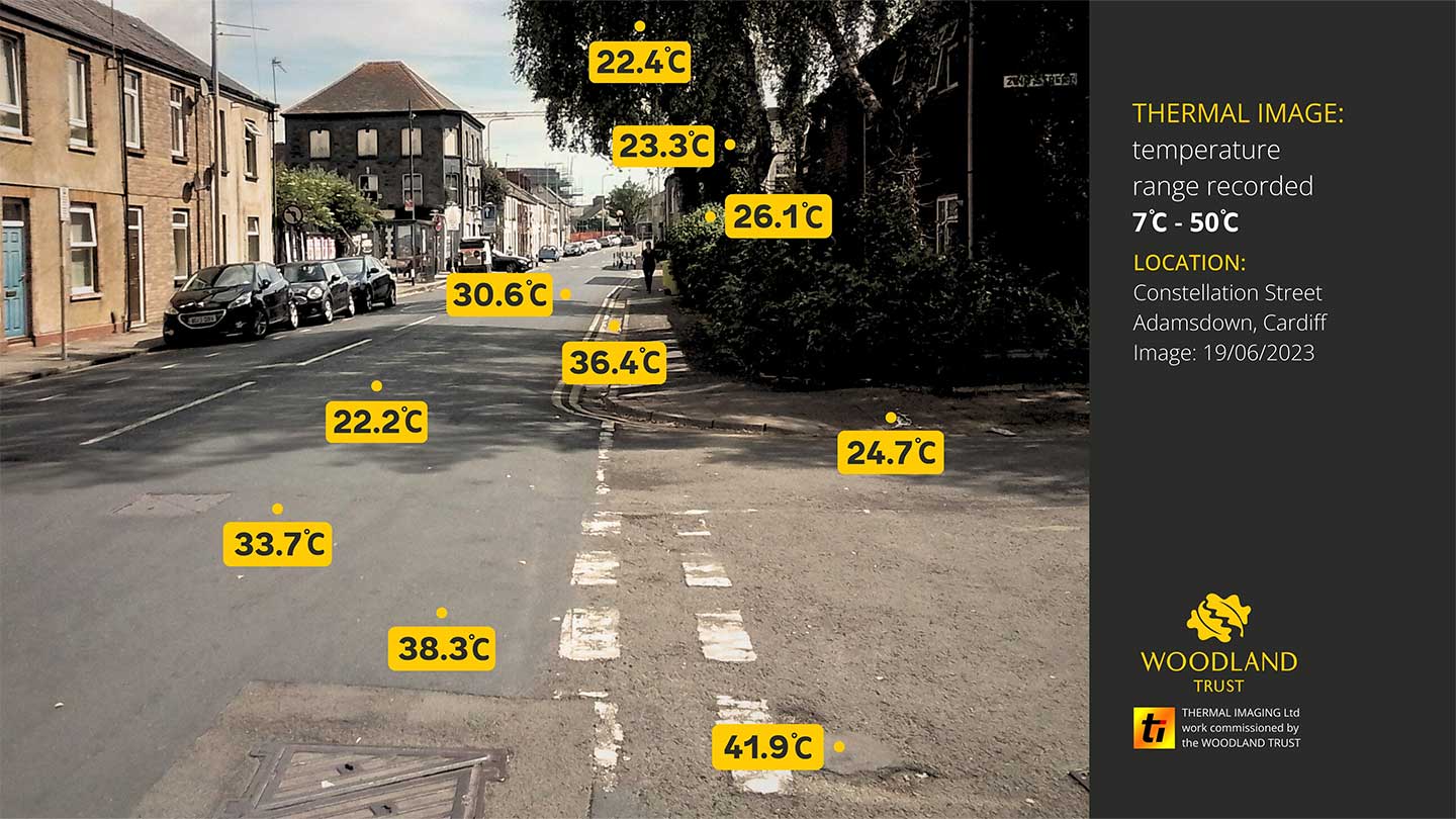 Thermal Imaging Of Urban Trees In Cardiff - Woodland Trust