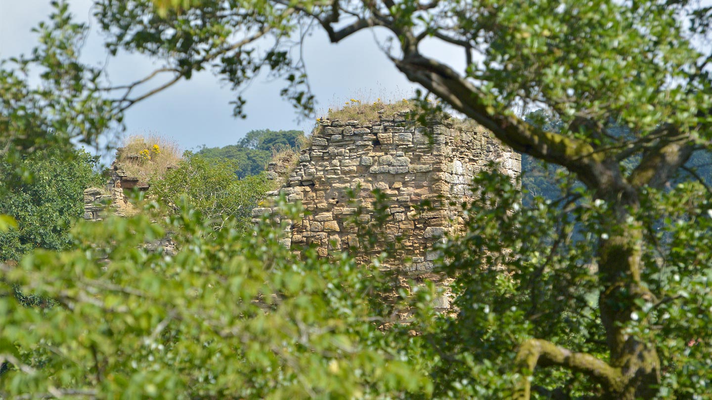 Keil's Den - Visiting Woods - Woodland Trust