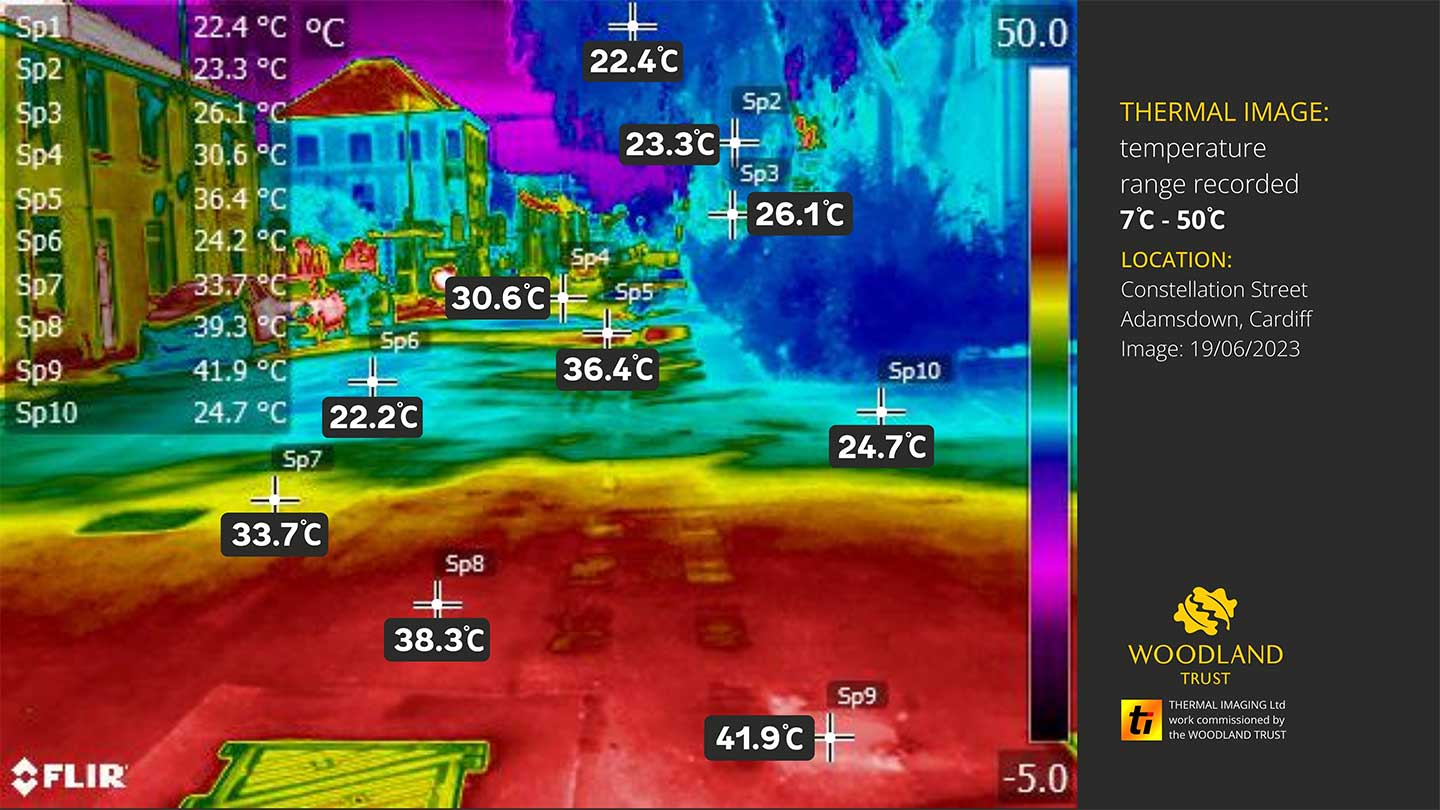 Thermal Imaging Of Urban Trees In Cardiff - Woodland Trust