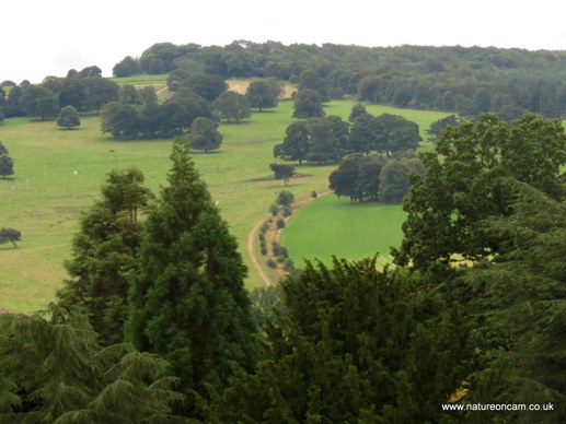 Bretton Park - Woodland Trust