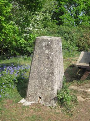 Broadhempston Community Woodland - Woodland Trust