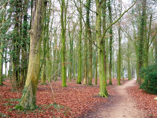 Lydiard Park - Woodland Trust