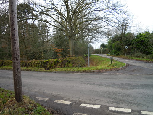 Englefield Estate - Woodland Trust