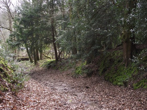 Leconfield Estate (East) - Woodland Trust
