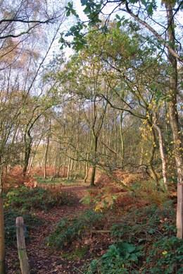 Rudheath - Woodland Trust