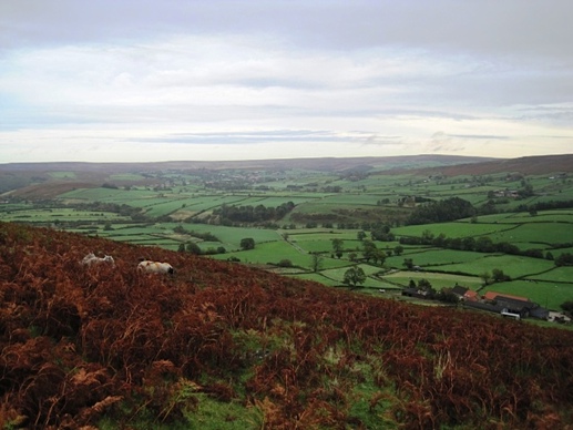 Cropton Forest - Woodland Trust