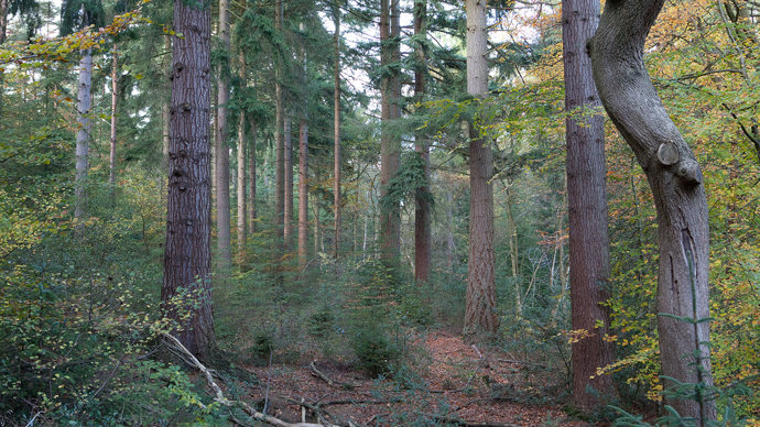 Cropton Forest - Woodland Trust