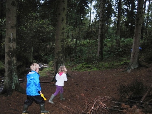 Cropton Forest - Woodland Trust