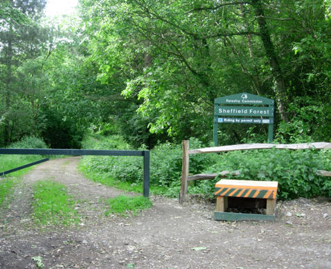 Sheffield Forest - Woodland Trust