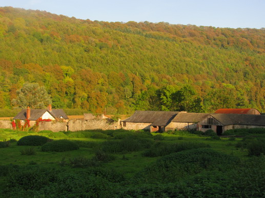 Wye Valley Forest area - Woodland Trust