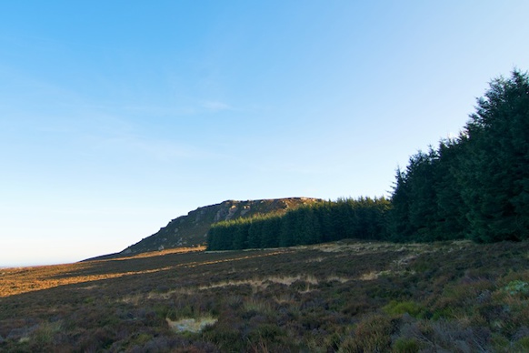 Harwood Forest - Woodland Trust
